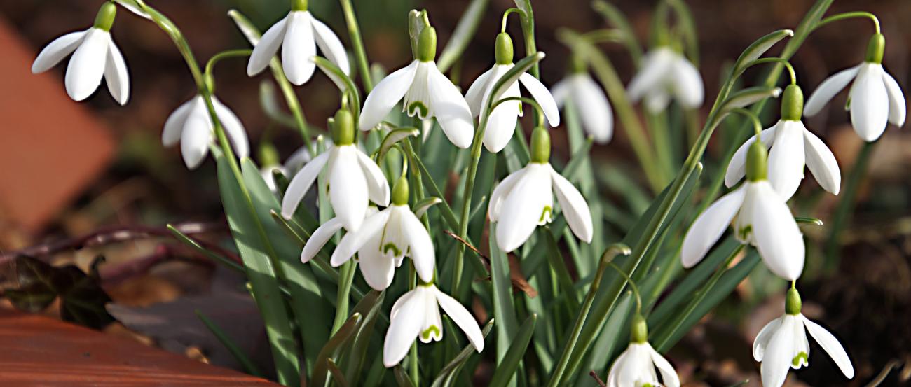 Sonntag, 01. Februar